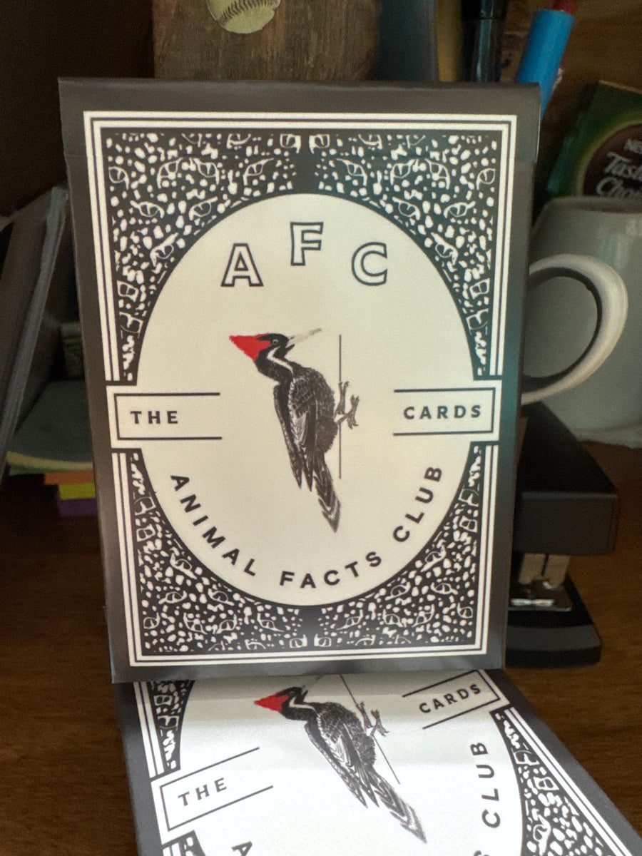 Animal Fact Cards – TheBudafulHiker